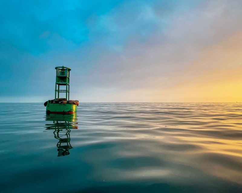 Santa Barbara Harbor: Sunset Kayak Tour (2 Hours) - What’s Included in the Tour