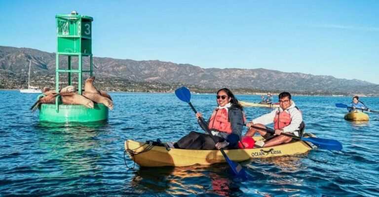 Santa Barbara Harbor: Wildlife Kayak Tour (2 Hours) - Who Will Love This Experience?