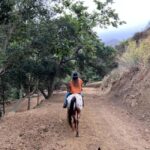 Santa Barbara: Horseback Riding and Wine Tasting Tour - An In-Depth Look at the Santa Barbara Horseback and Wine Tour