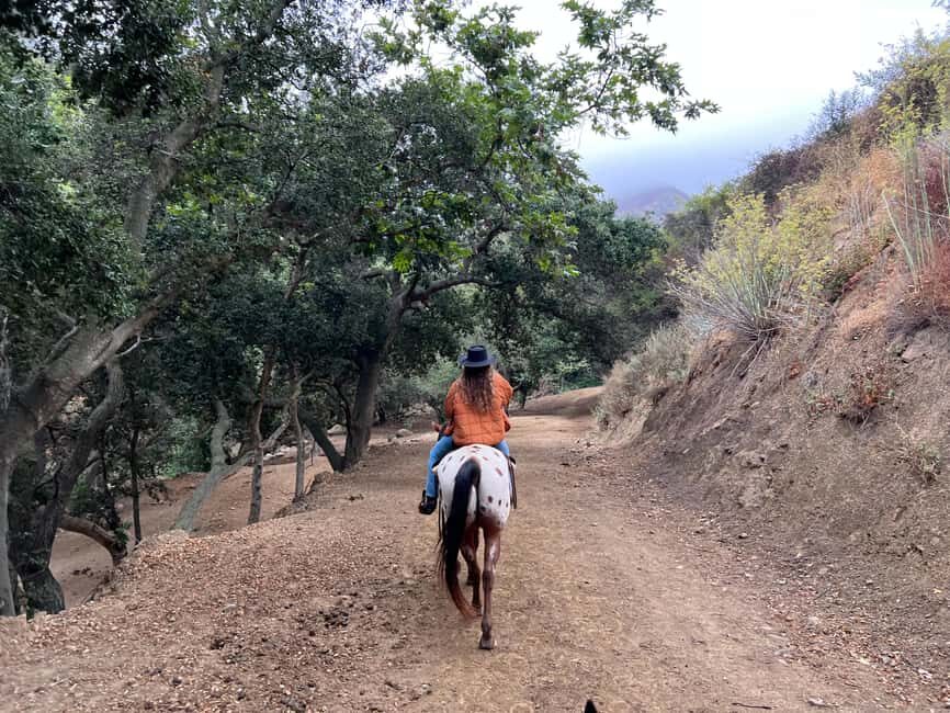 Santa Barbara: Horseback Riding and Wine Tasting Tour - An In-Depth Look at the Santa Barbara Horseback and Wine Tour
