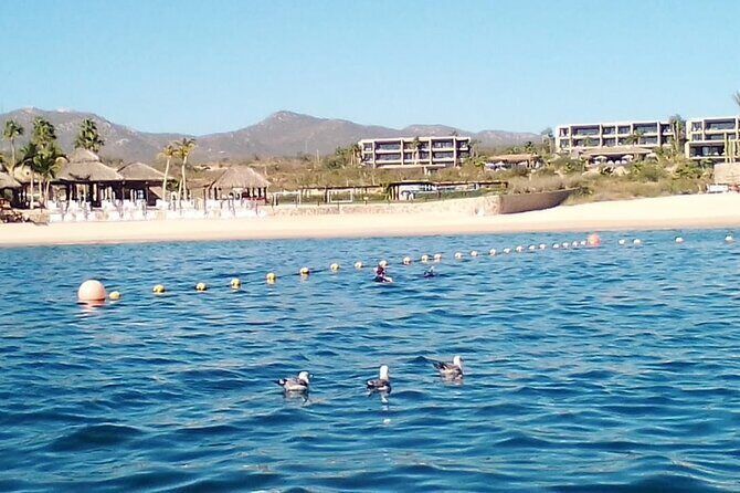 Santa Maria and Chileno Bay Snorkel Adventure Los Cabos - FAQ