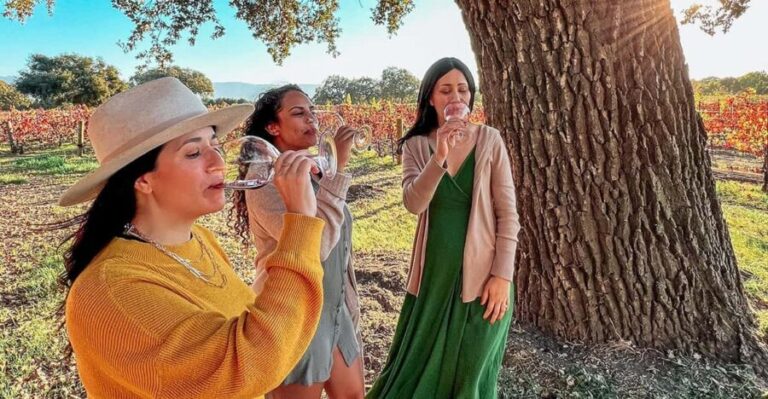 Santa Ynez: Private Wine Tour - In-Depth Breakdown of the Itinerary