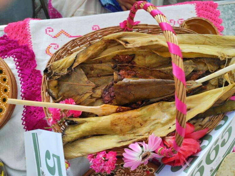 Santiago de Anaya, Hidalgo: Food tour. Experience among stoves. - The Sum Up