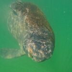 Sarasota Waterways Tour for All Ages - Exploring Sarasota’s Waterways: What to Expect