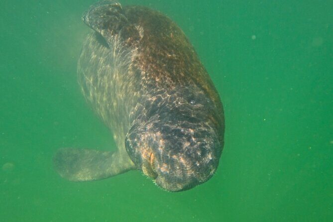 Sarasota Waterways Tour for All Ages - Exploring Sarasota’s Waterways: What to Expect