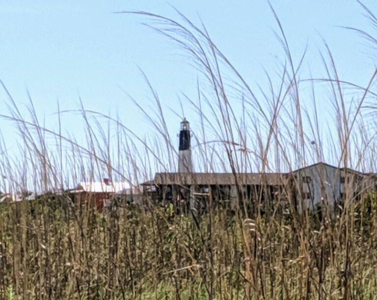 Savannah: Historic District and Islands Private Tour - Civil War Fort and Its Significance