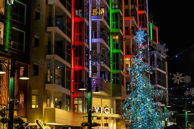 Savannah Holiday Sights and Festive Nights Trolley Tour - Who Should Consider This Tour?