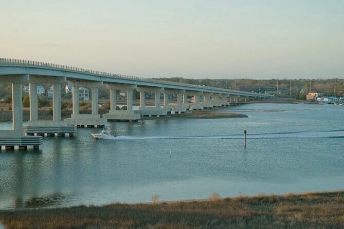 Savor the Sea: Holistic Health Walking Tour in Surf City - Why This Tour Is Worth Considering