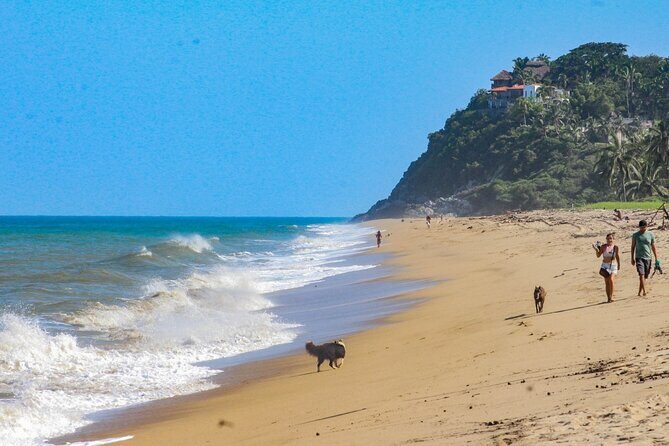 Sayulita and San Pancho Day Trip from Puerto Vallarta - Final Thoughts on This Tour