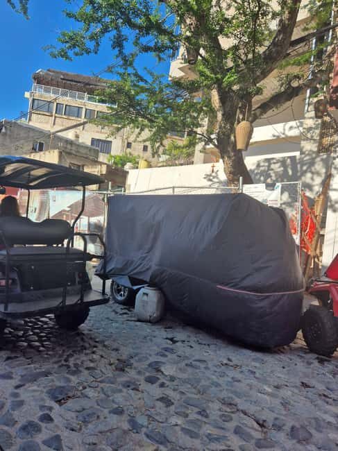 Sayulita: Electric Cart Rental - The Cost and Its Value