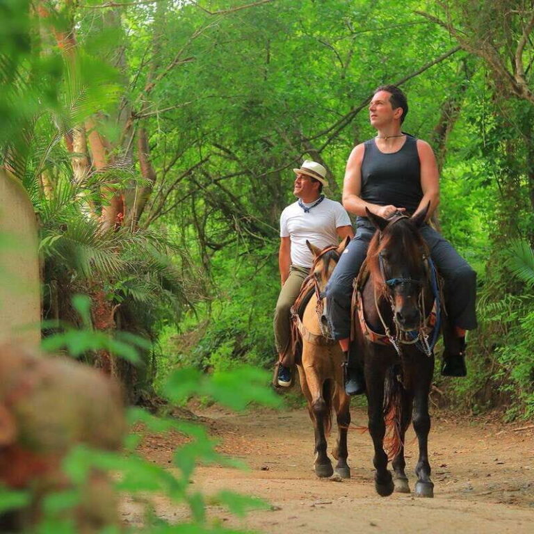 Sayulita: Horseback Riding Tour - Highlights that Make this Tour Special