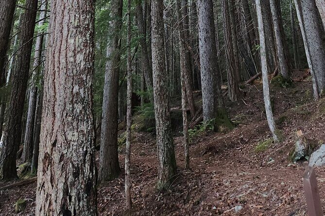 Scavenger Hunt Adventure with Geocaching in Whistler - The Meeting Point and Ease of Access