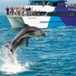 Scenic Bay of Islands Escape: Private Full-Day Tour from Auckland - FAQs