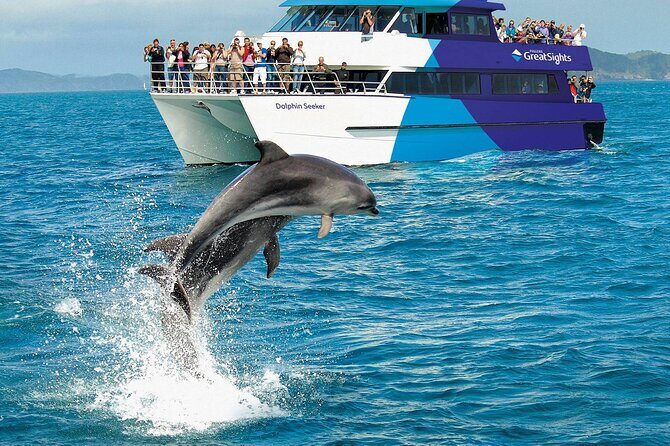 Scenic Bay of Islands Escape: Private Full-Day Tour from Auckland - FAQs