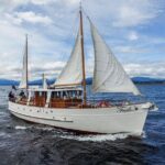 Scenic Cruise & Guided walk on Historic Motor Yacht Lake Te Anau - What Makes This Tour Stand Out