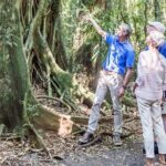 Scenic Hinterland Guided Day Tour Inc Lunch, Tastings From Noosa - What Travelers Are Saying