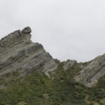 Scenic South Wairarapa Full Day Tour from Wellington - The Experience from Reviewers Perspectives