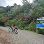 Scenic Spooners Tunnel Adventure in Nelson Tasman - Practical Details That Matter