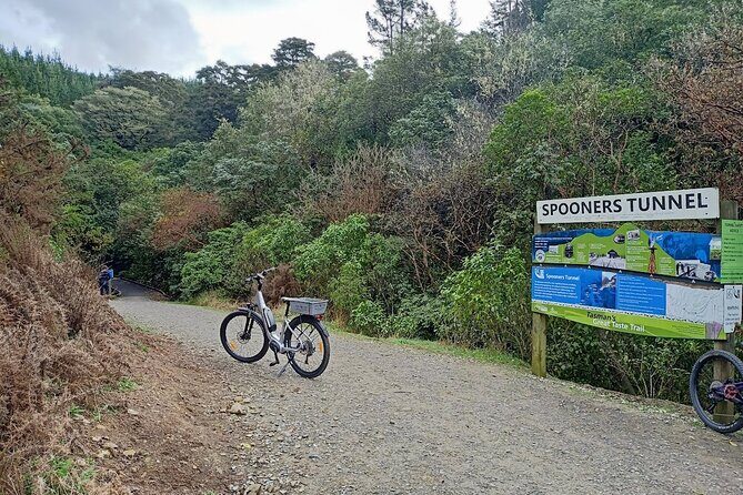 Scenic Spooners Tunnel Adventure in Nelson Tasman - Practical Details That Matter