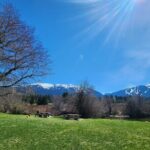 Scenic Valley Ride - E Bike Tour - Whistler Marmot Activity - What the Tour Entails: A Detailed Breakdown