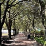 Scottish and Irish Connection Charleston Heritage Walking Tour - The Historic Battery & White Point Gardens
