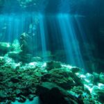 Scuba Diving in Cenote Dos Ojos from Playa del Carmen - Why This Tour Stands Out