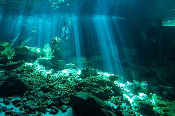 Scuba Diving in Cenote Dos Ojos from Playa del Carmen - Why This Tour Stands Out