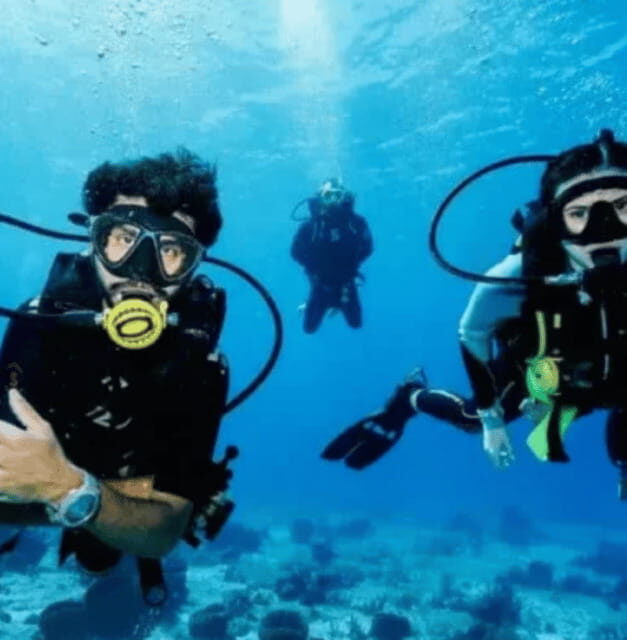 Scuba Diving Playa del Carmen: PADI Open Water Certification - The Experience Breakdown: What You’ll Really Get