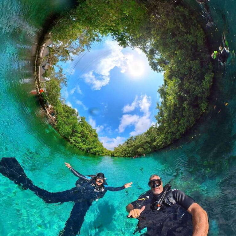 Scuba in 2 cenotes in a half-day - Discovering the Cenotes in Tulum: An Underwater Journey