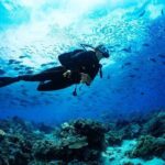 Scuba Referral Dives & Beach Club with Transportation In Riviera Maya - Authentic Experiences You’ll Love