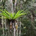 Sea Acres National Park: Aboriginal cultural tour - Who Will Love This Tour?