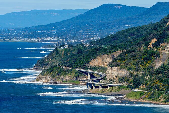 Sea Cliff Bridge, Kiama Blowhole, Beaches & Wildlife Small Group - Authentic Experiences and Highlights from Reviewers