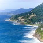 Sea Cliff Bridge Tours with Whale Watching and Wine Tasting - Who Will Love This Tour?