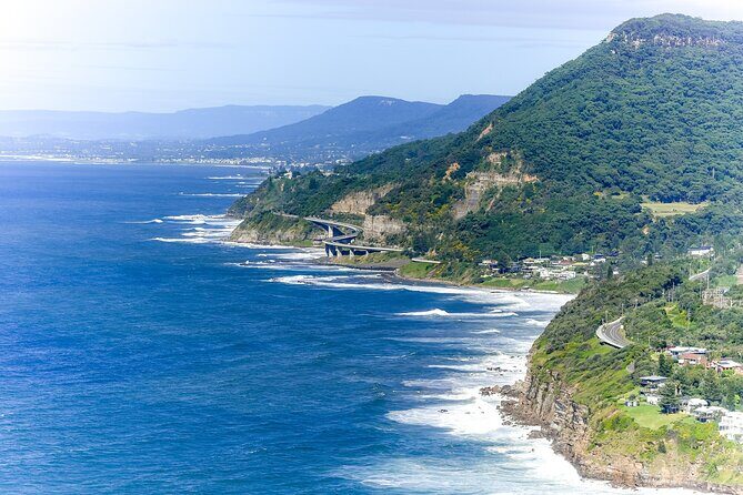 Sea Cliff Bridge Tours with Whale Watching and Wine Tasting - Who Will Love This Tour?