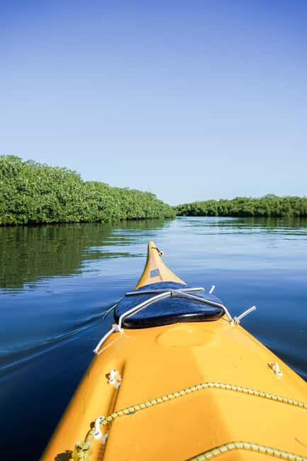 Sea Kayak Tour - Mangrove Safari - Why You’ll Love This Experience