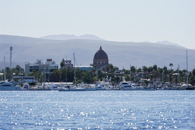Sea Kayak Tour Mangrove Safari - Why Choose This Tour?