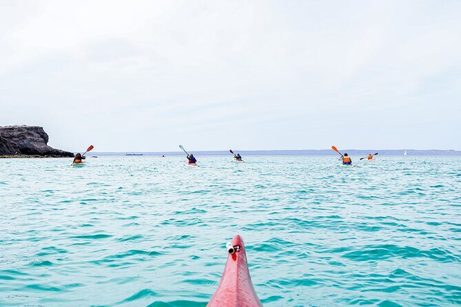 Sea Kayak Tour Marine Safari - The Itinerary in Detail
