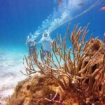 Sea Trek Adventure at Chankanaab National Park - Final Thoughts