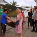 Sea Turtle Release  A Puerto Vallarta Conservation Adventure - The Real Value: From Reviews to Reality