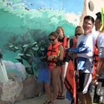 Sea Turtle Snorkeling Ecofriendly Tour from Cancun & Riviera Maya - Real Insights from Reviewers