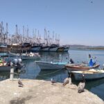 Seafood Secret Tour in Mazatlan - Practical Tips for Tour Participants