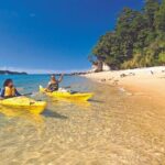 Seal Sanctuary Tour - Guided Kayaking - New Zealand - Exploring the Itinerary