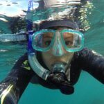 Seal Swimming Tour from Kaikoura - The Details of the Seal Swimming Tour from Kaikoura