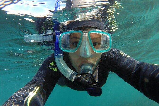 Seal Swimming Tour from Kaikoura - The Details of the Seal Swimming Tour from Kaikoura