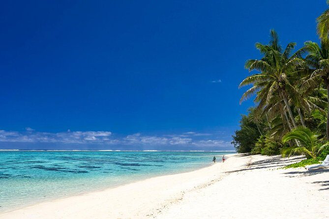 Seat in Coach Transfer from Rarotonga Airport to Hotel - Authentic Insights from Reviews