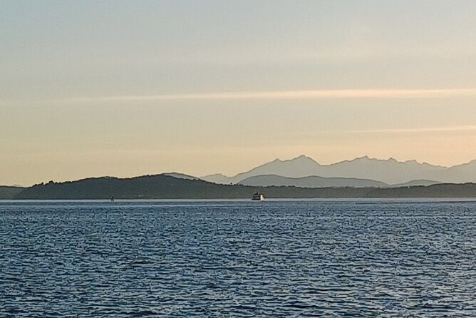 Seattle Sightseeing ScooTour - The Experience: What to Expect