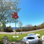 Seattle's Longest Historic & Cultural Walking Tour - What We Loved