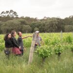 Secret Delights: Curated Wine, Coffee & Forest Experience - Why This Tour Offers Excellent Value