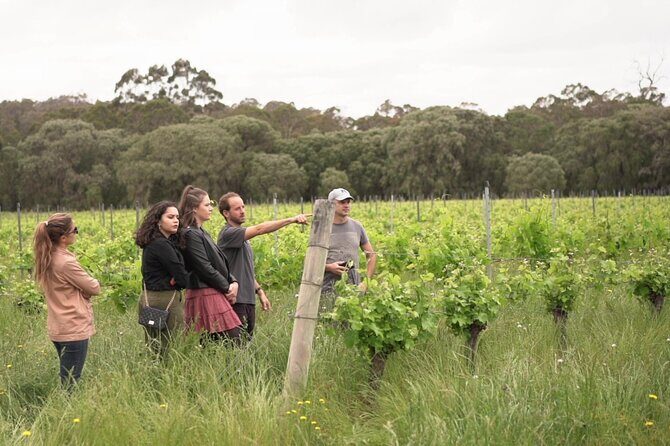 Secret Delights: Curated Wine, Coffee & Forest Experience - Why This Tour Offers Excellent Value