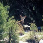 Sedona: PRIVATE Extreme Diamondback Gulch 4x4 Jeep Tour - The Sum Up